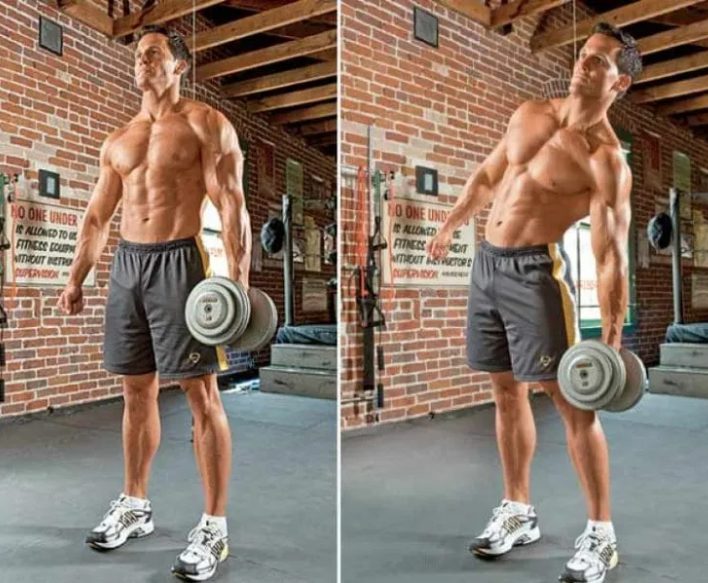 Oblique Workouts | Workout By Muscle Tool | Just Gym Stuff