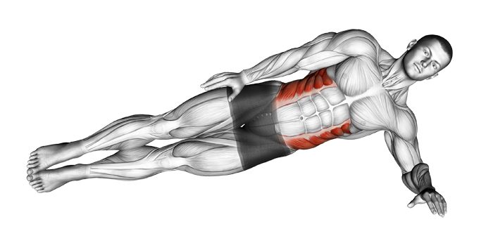 Oblique Workouts | Workout By Muscle Tool | Just Gym Stuff
