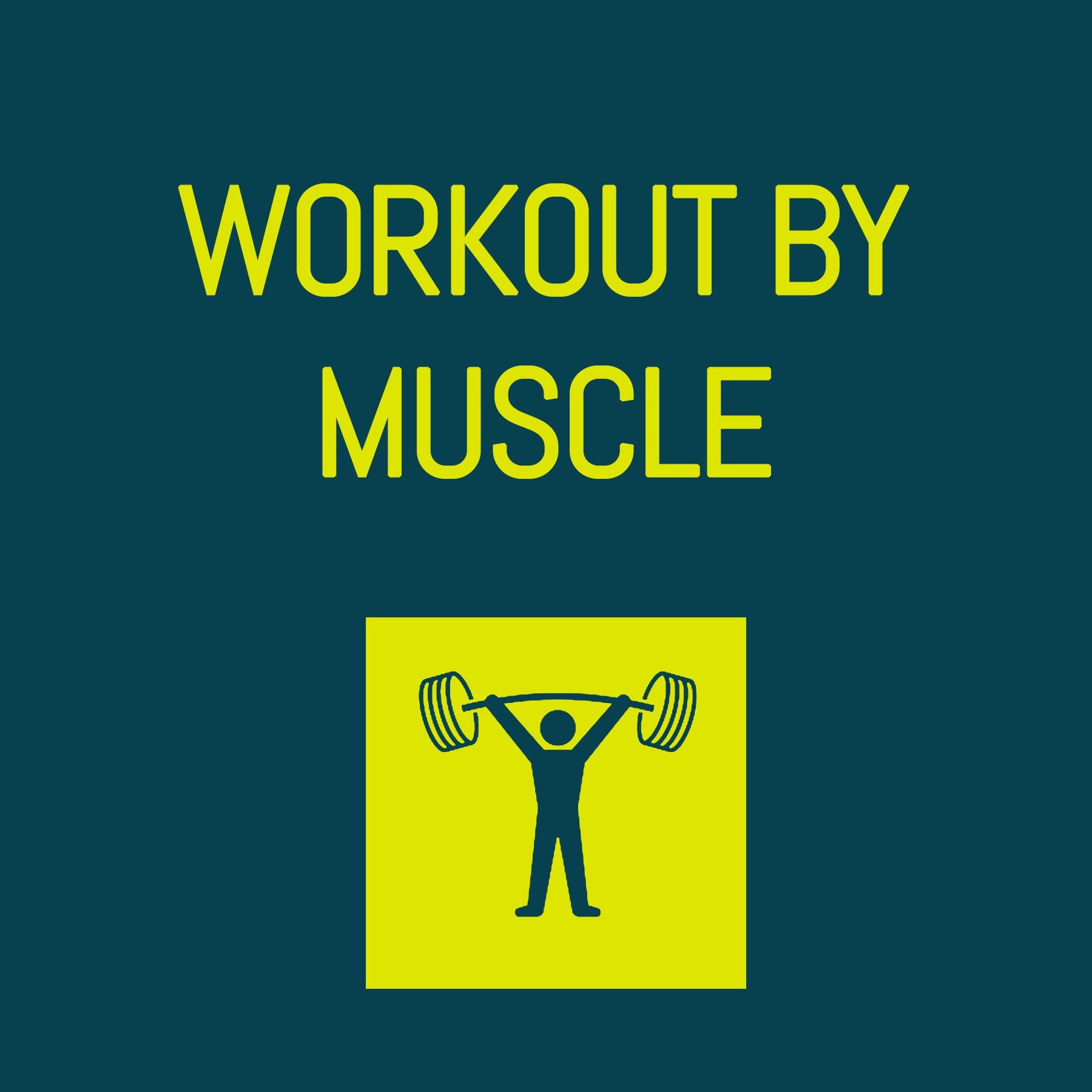 Workout by Muscle Tool | JGS Workout Tools | Just Gym Stuff