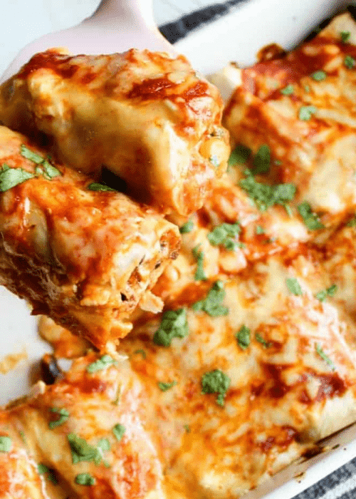 Low Calorie Enchilada Recipe | Just Gym Stuff
